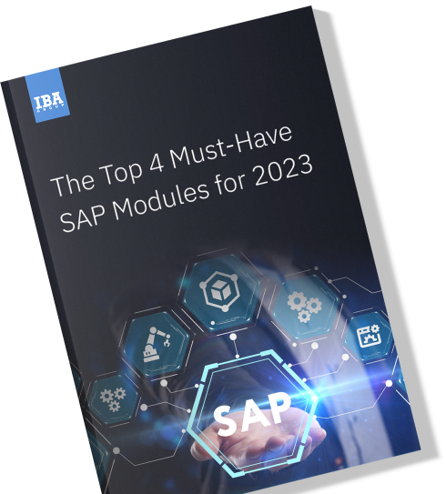 Discover Top 4 Must-Have SAP Modules with Support in 2023 - IBA Group